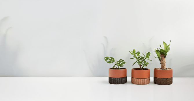 MERAKIA - Objetos utilitarios de diseño mexicano.